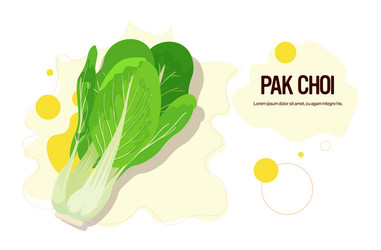 Pak Logo Vector Images (87)