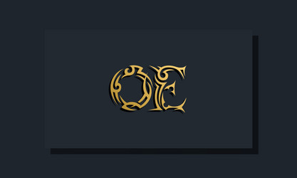 Initial letters oe monogram logo design bundle Vector Image