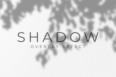 Transparent natural plant shadow light effect Vector Image