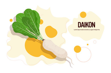 Daikon Vector Images (over 1,400)
