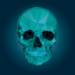 Dissolving 3d low poly human skull Royalty Free Vector Image