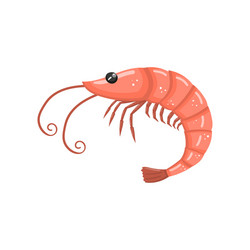 Happy prawn or shrimp with curly feelers Vector Image