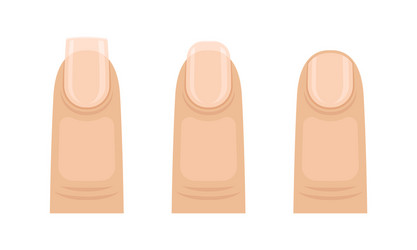 Female finger with nail form and shapes set Vector Image