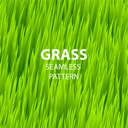 Green grass seamless pattern 1 Royalty Free Vector Image