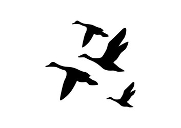 Duck hunting template Royalty Free Vector Image