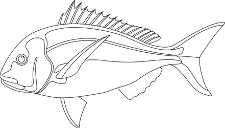 Red Snapper Vector Images (over 120)