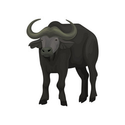 Buffalo Royalty Free Vector Image - VectorStock