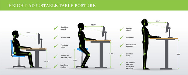 Correct postures for height adjustable Royalty Free Vector