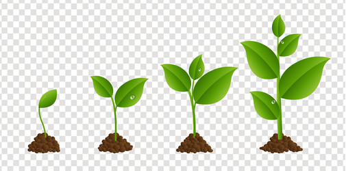 Green sprout set isolated white background Vector Image