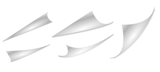 Realistic curled page corner note papers Vector Image