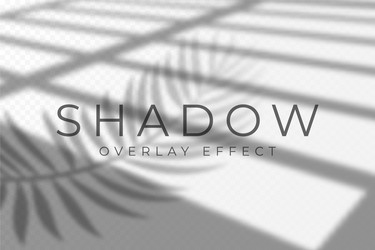 Background Light and Shadow Vector Images (over 150,000)