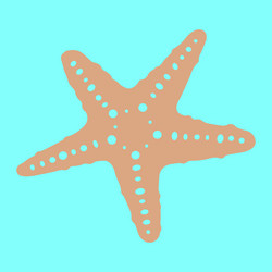 Starfish Vector Images (over 42,000)