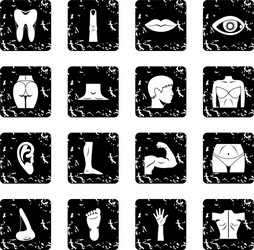 Parts Body Groin Vector Images (99)