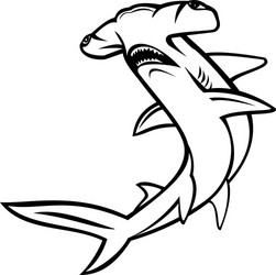 Hammerhead Shark Line Drawing