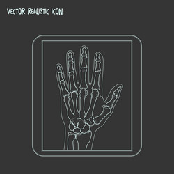 Radiography Vector Images (over 2,300)