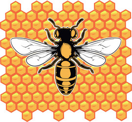 Realistic Bees Vector Images (over 1,300)