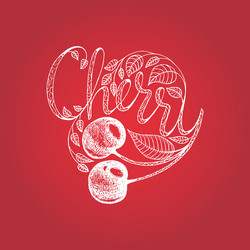 Hand drawn word brush pen lettering with phrase Vector Image