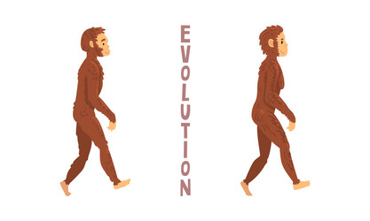 Monkey Stage Evolution Vector Images (83)