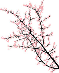 Ball Royalty Free Vector Image - VectorStock