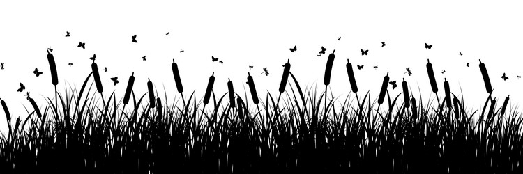 Silhouette grassland on background fir Royalty Free Vector