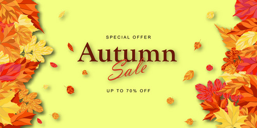 Fall sale seasonal autumn promotion design Vector Image