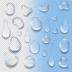 Water drop isolated big set white background Vector Image