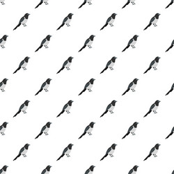 Magpie Vector Images (over 1,200)