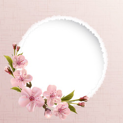 Beautiful sacura spring cherry Royalty Free Vector Image