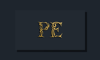 Initial letters pe logo design bundle Royalty Free Vector