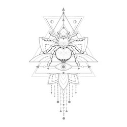 Spider tarantula Royalty Free Vector Image - VectorStock