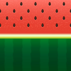 Watermelon Texture Flesh Vector Images (41)