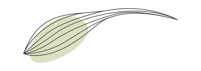Tropical plant in line art with green blot Vector Image