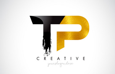 Tp letter design with brush stroke and modern 3d Vector Image
