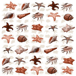 Sea shells exotic marine cartoon clam-shell Vector Image