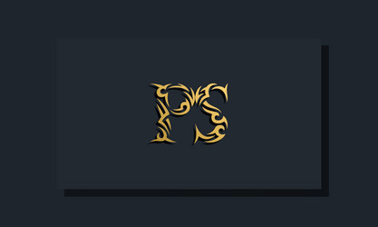 Minimal line art letters ps signature logo Vector Image