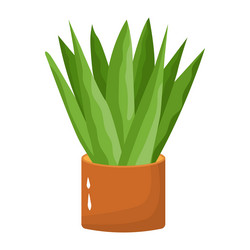 Maguey Vector Images (12)