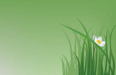 Grass Plains Vector Images (over 1,100)