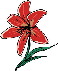Red lily Royalty Free Vector Image - VectorStock