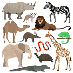 Set of african animals rhinoceros elephant Vector Image