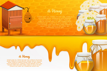 Honey background Royalty Free Vector Image - VectorStock