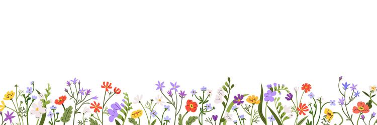 Horizontal flower banner summer floral backdrop Vector Image