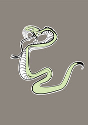 Snake Snakes Rattler Vector Images (51)