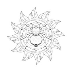 Spider tarantula Royalty Free Vector Image - VectorStock