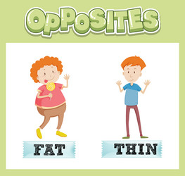 Opposite words for fat and thin Royalty Free Vector Image