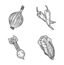 Beet carrots and onion inside of pot Royalty Free Vector