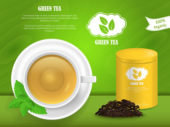 Realistic 3d detailed green tea leaves concept Vector Image