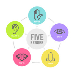 Five senses of human perception poster icons Vector Image