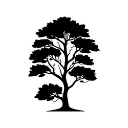 Fagus sylvatica icon hand draw black colour tree Vector Image