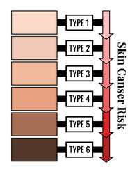 Fitzpatrick skin tone scale phototype melanin Vector Image