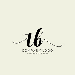 Initial tb signature logo template hand drawn Vector Image